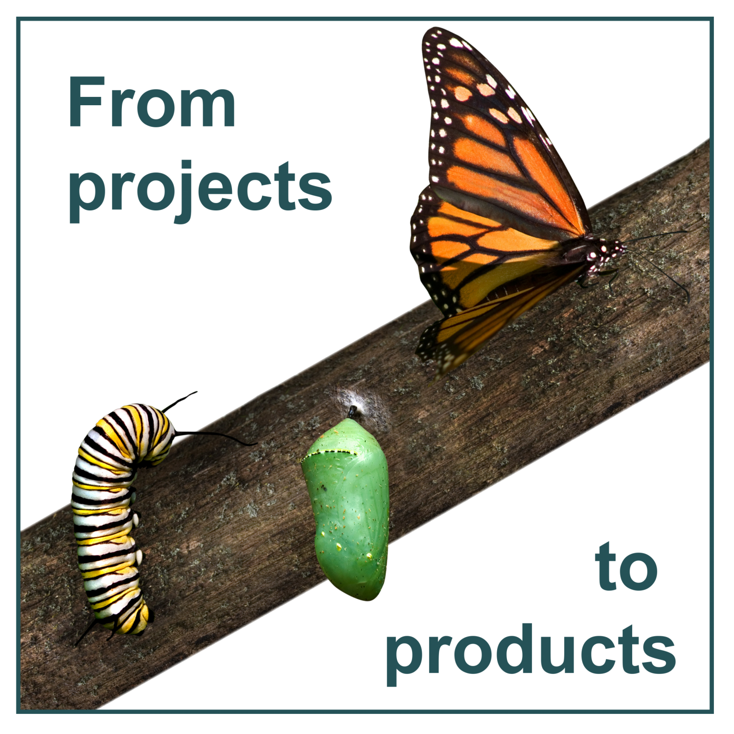 How to transition from projects to products? | Product Focus